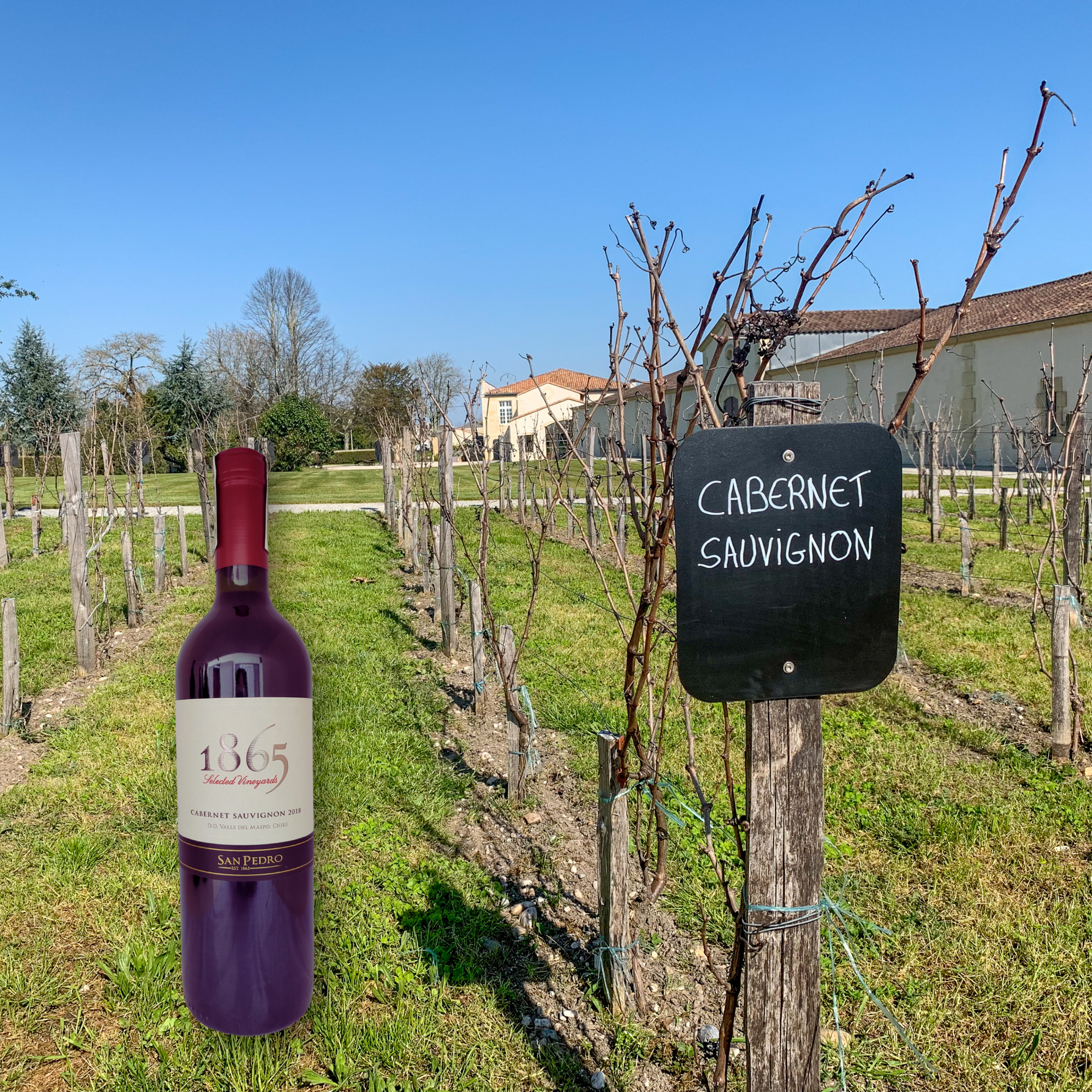 1865 Cabernet Sauvignon 2021, 750mL – Booze One™ | Wines Beers Spirits